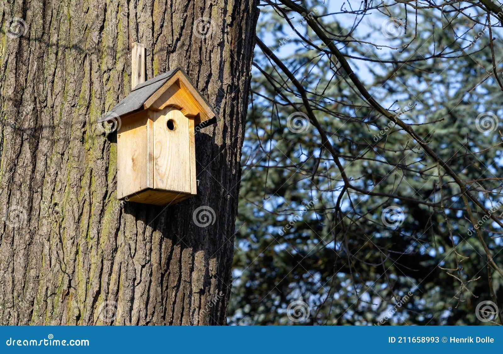 Wooden nest box on a tree stock image. Image of animal - 211658993