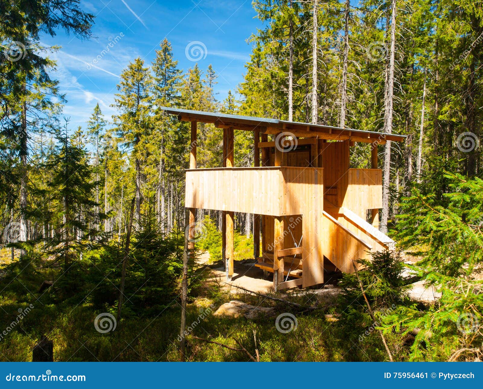 Wooden Observation Post in the Forest Stock Image - Image of bird ...