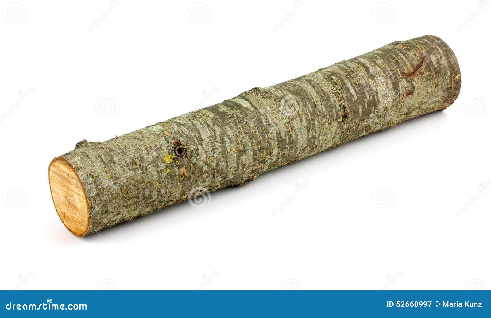 Wooden obsolete log!! stock image. Image of chunk, obsolete - 52660997