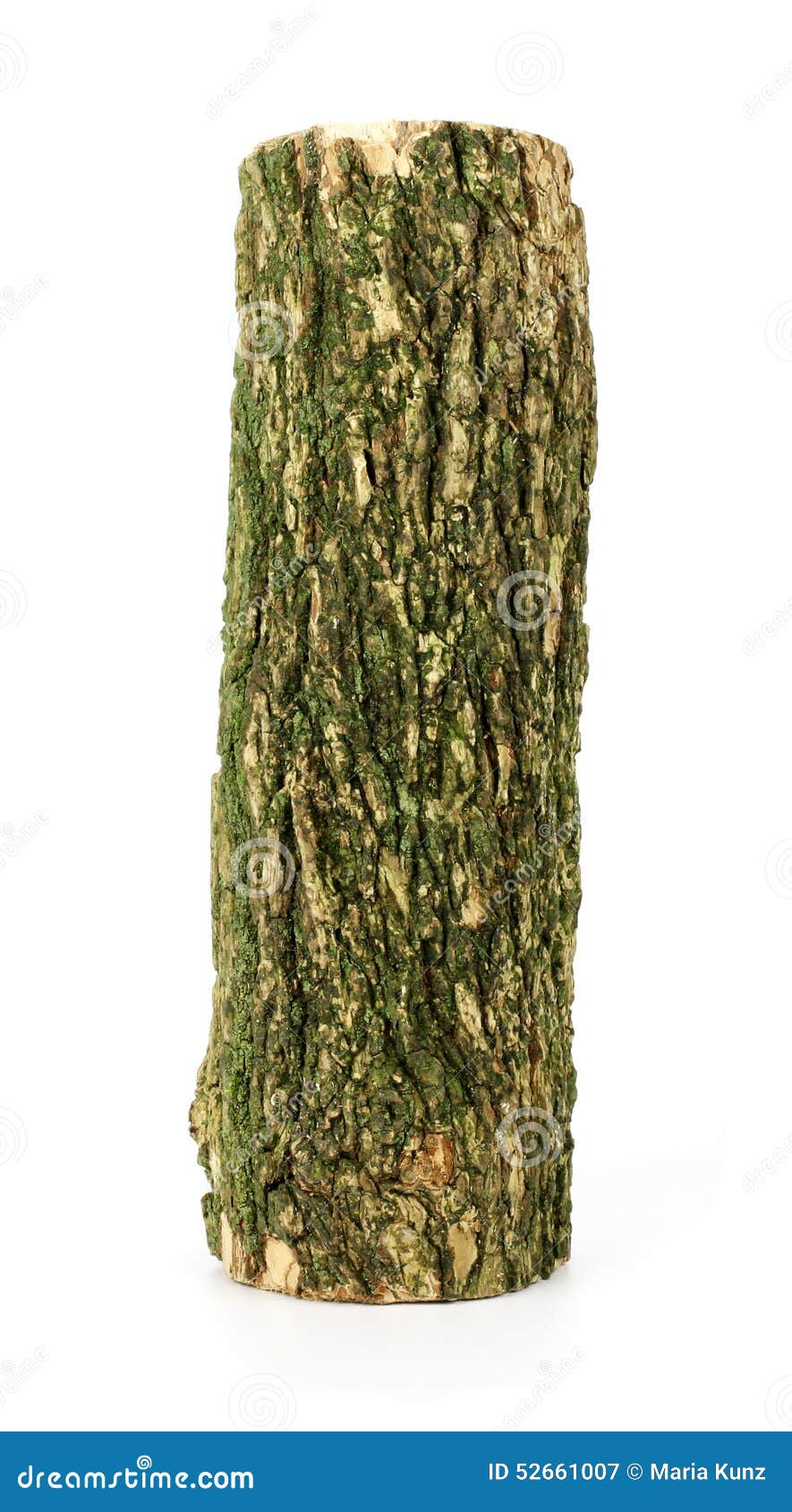 Wooden Obsolete Log. Top View. Isolated on a White Stock Image - Image ...