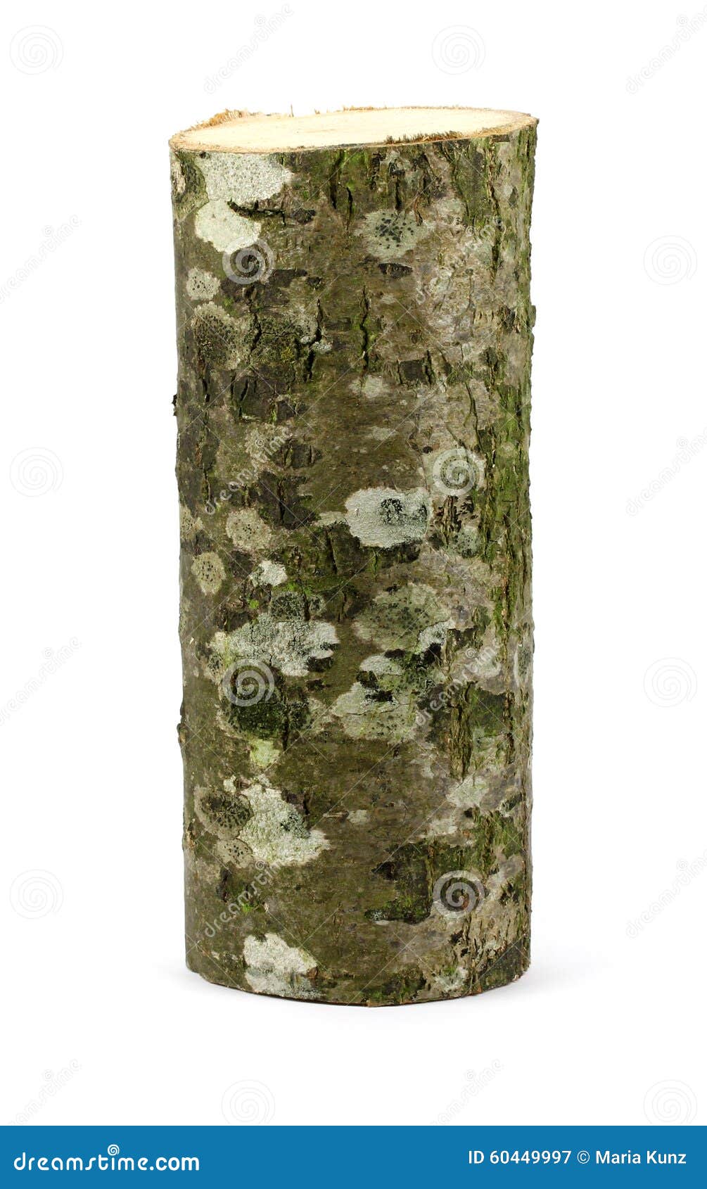 Wooden Obsolete Log. Top View. Isolated on a White. Stock Image - Image ...