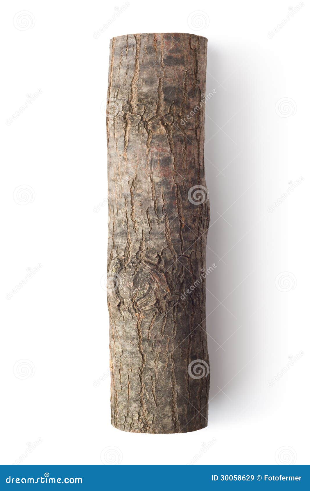 Wooden Obsolete Log. Top View Stock Image - Image of woods, firewood ...