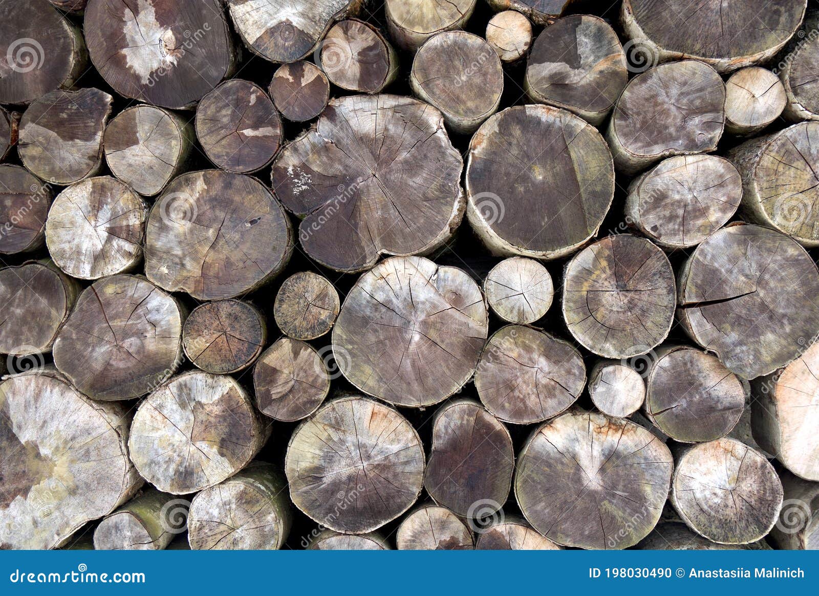 Wooden Old Gray Background, Texture. Stacked of Pine Logs Stock Photo ...