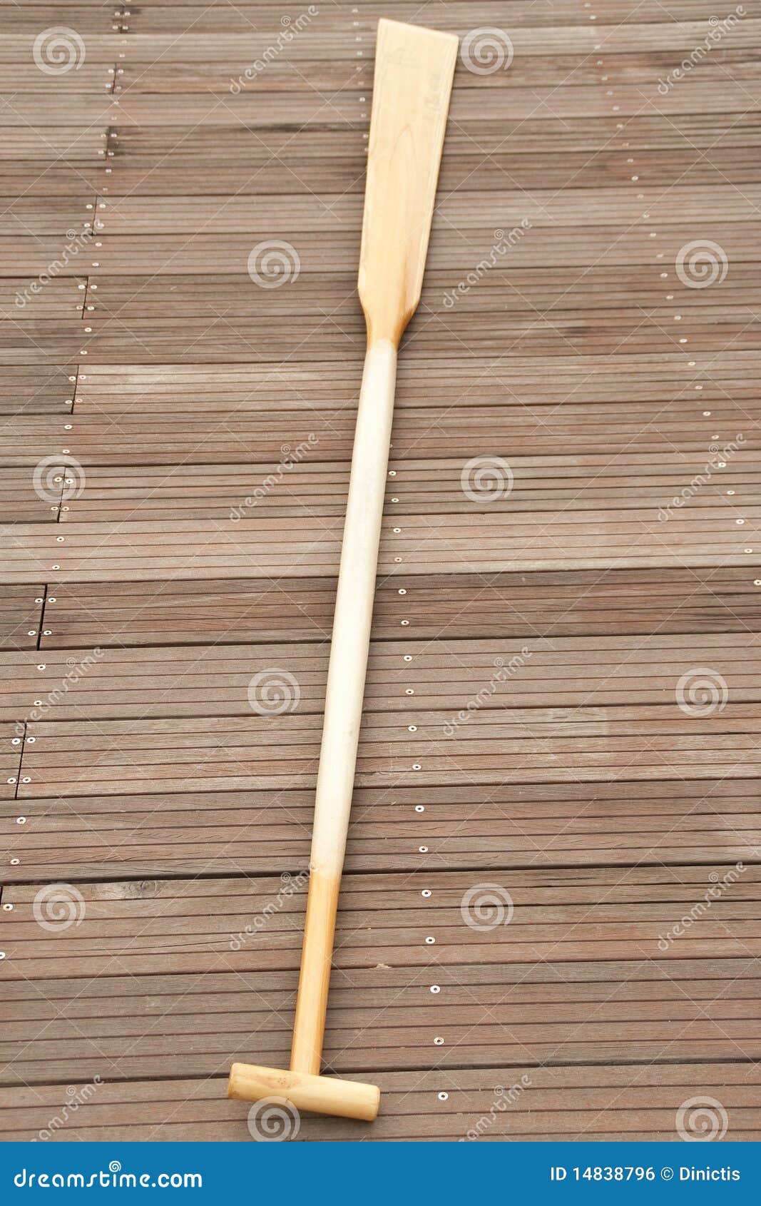 Wooden paddle for rowing stock photo. Image of white - 14838796