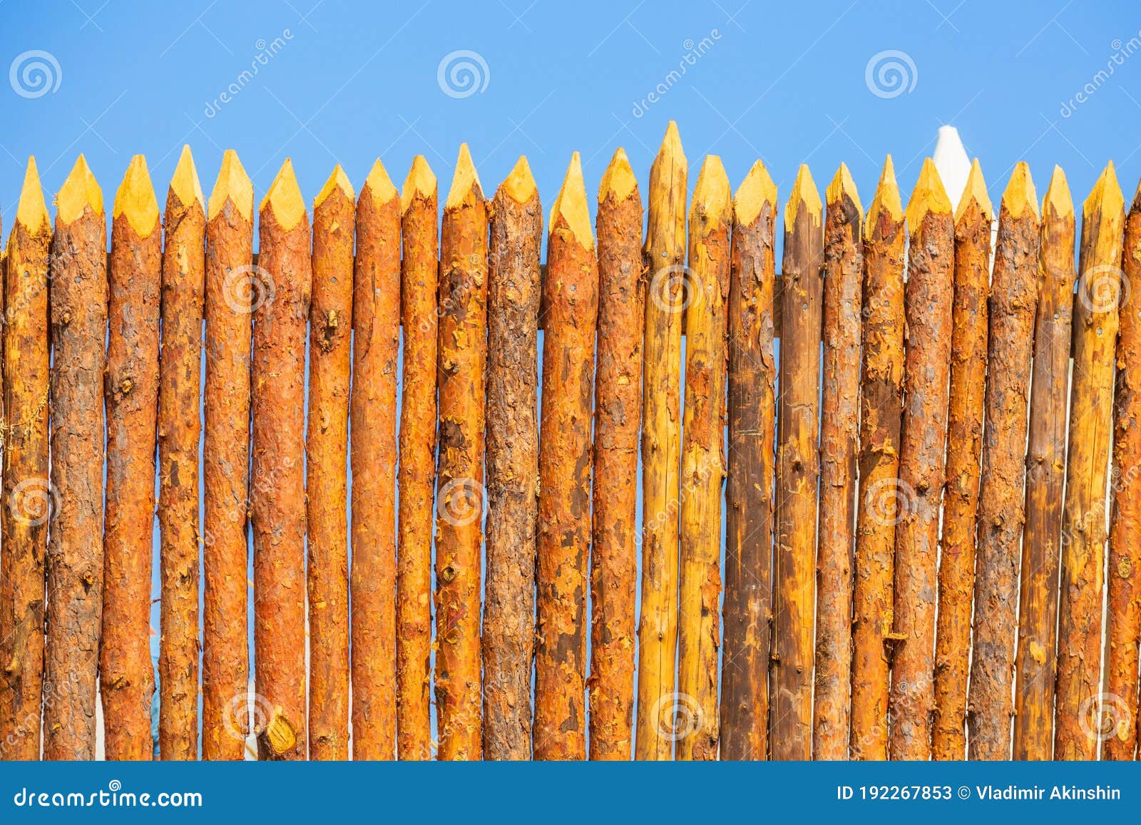 A Wooden Palisade Made of Logs Sharpened on a Sharp Stock Image - Image ...