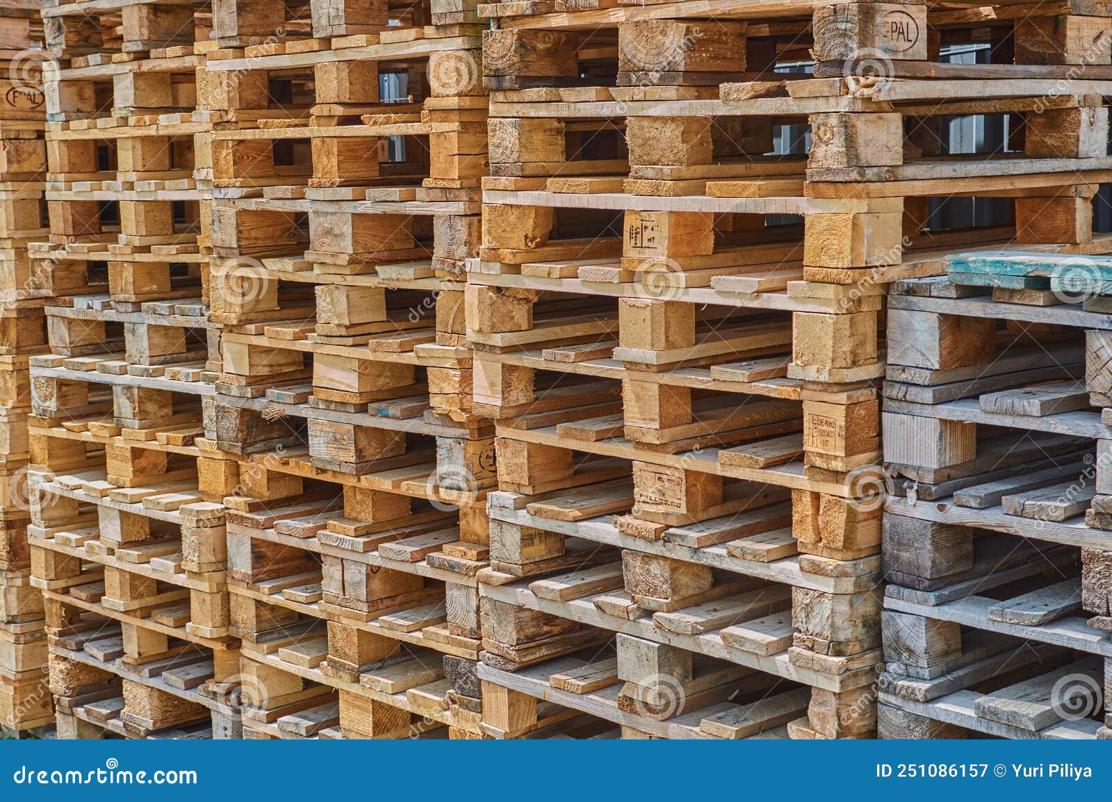 Wooden Pallets for Cargo are Arranged in Continuous Rows on the Product ...