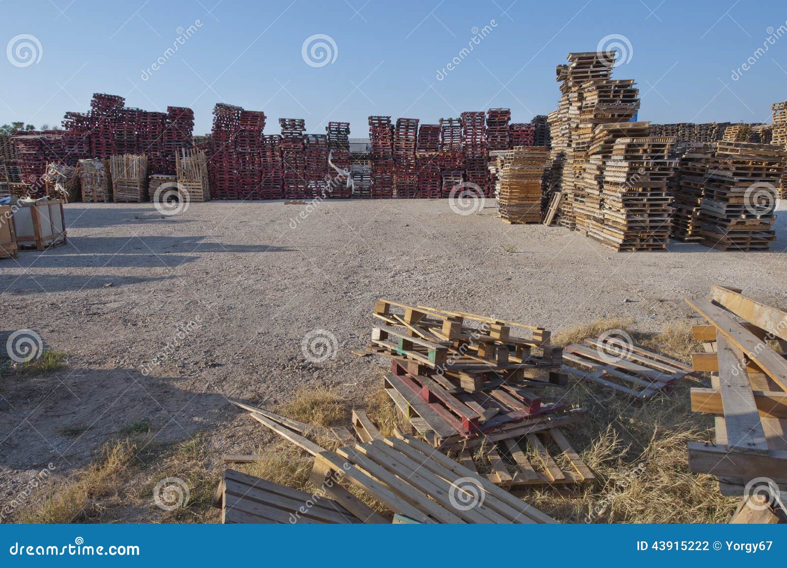 Wooden Pallets Storage Yard Stock Photo - Image of wooden, storage ...