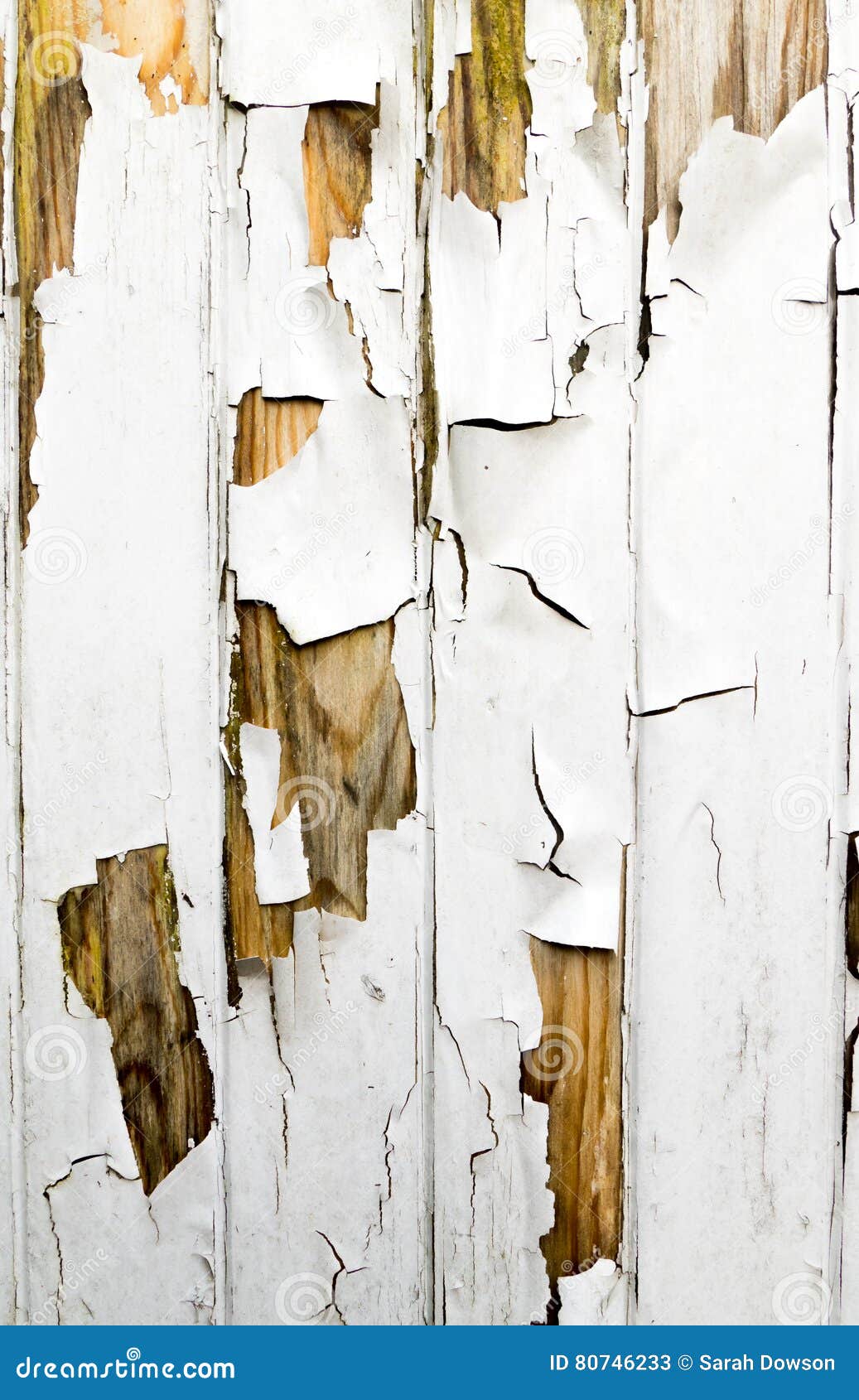 Wooden Panel with Peeling Paint Stock Image - Image of flakes, grained ...