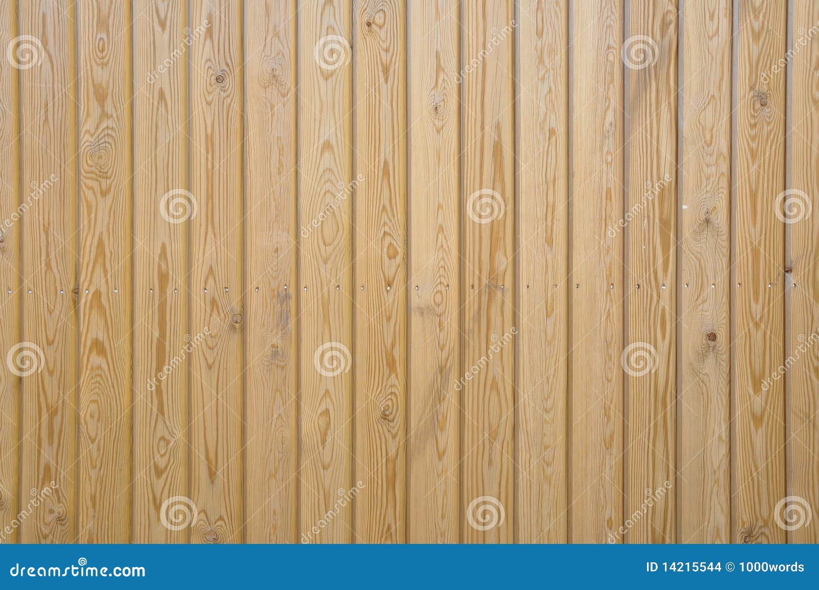 Wooden Panels stock photo. Image of details, design, door - 14215544