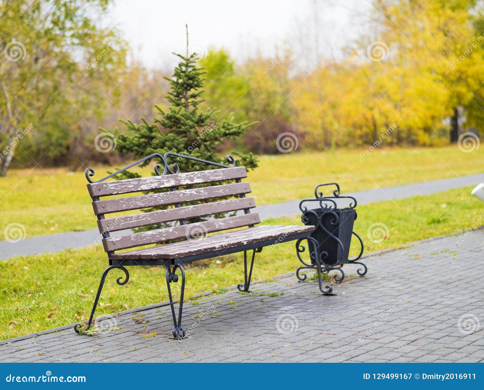 Wooden Park Bench in the Park in Fall Time Stock Image - Image of ...