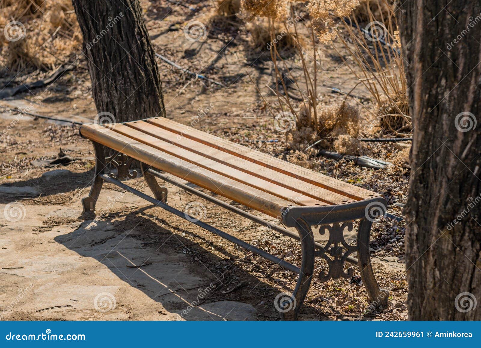 Wooden Park Bench between Two Trees Stock Image - Image of asia, avenue ...