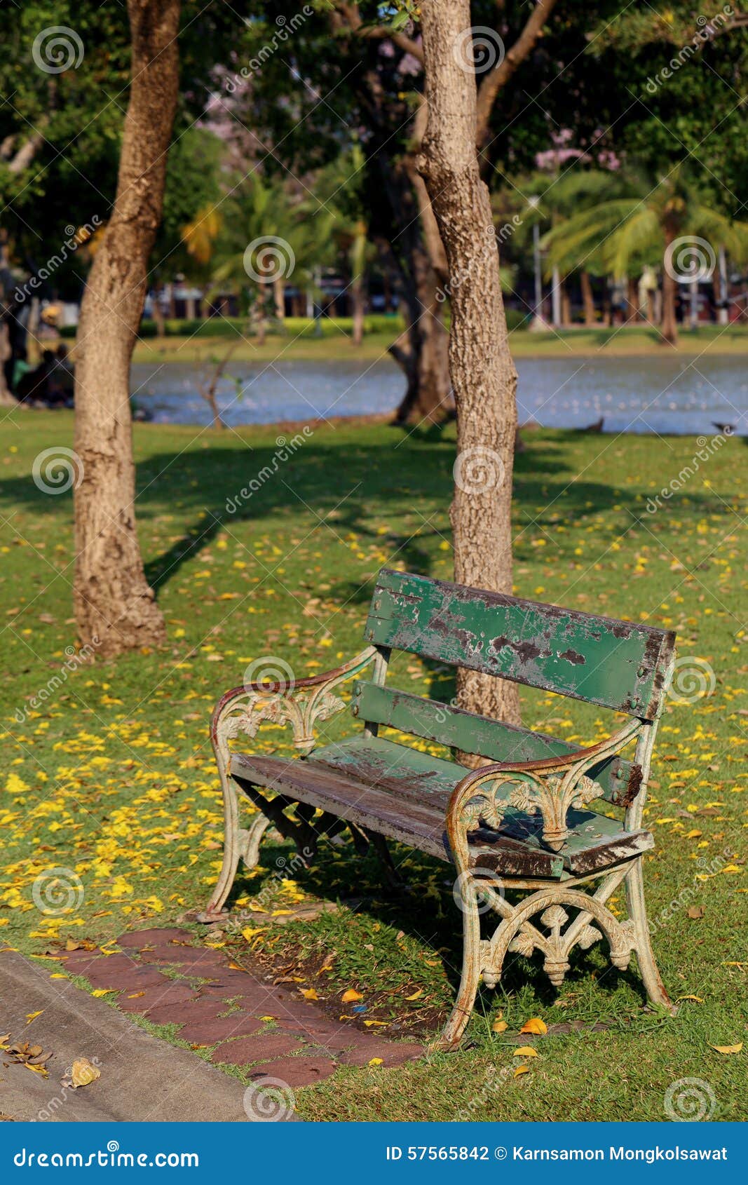 Wooden Park Bench Under Tree and Near a Lake Stock Photo - Image of ...
