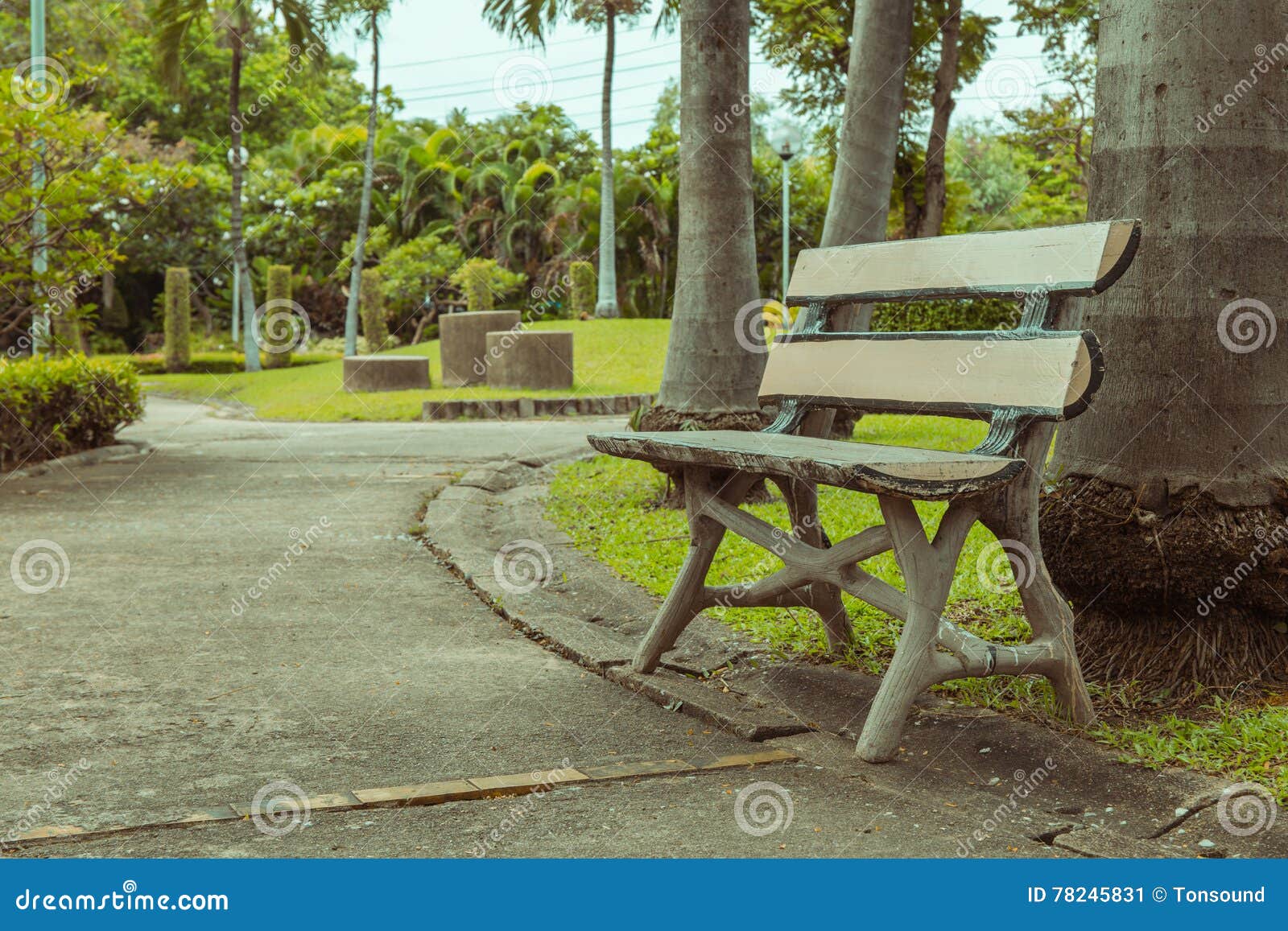 Wooden Park Bench Under Trees. Stock Image - Image of tree, city: 78245831