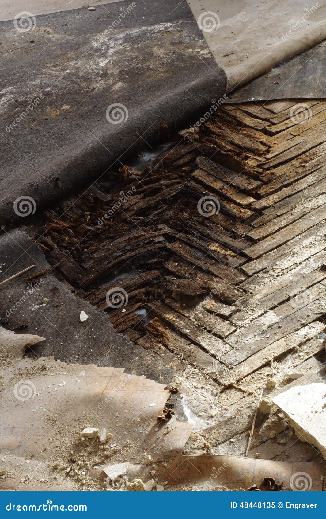 Wooden parquet floor rot 2 stock image. Image of broken - 48448135