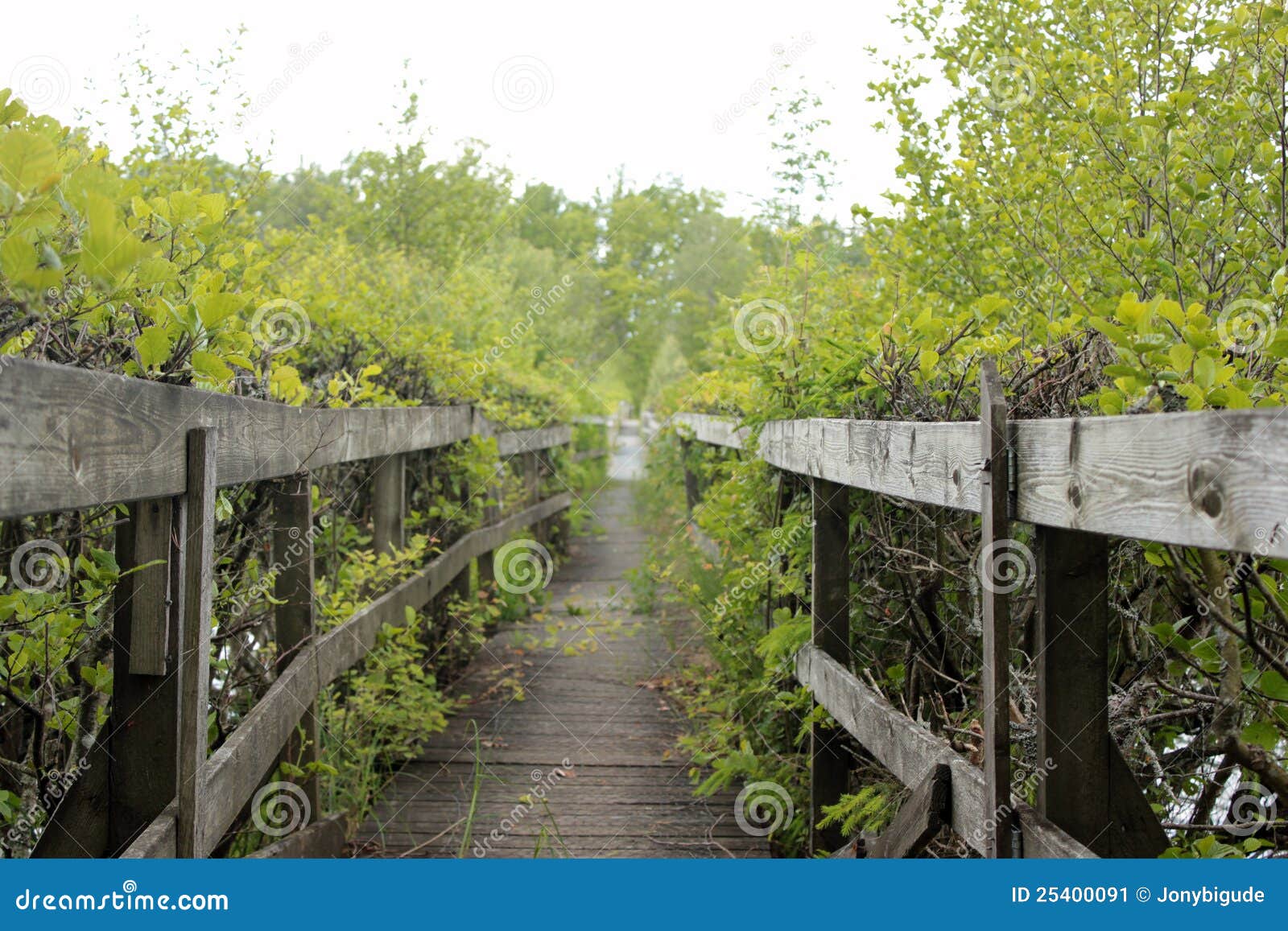 A wooden passage stock image. Image of woods, passage - 25400091