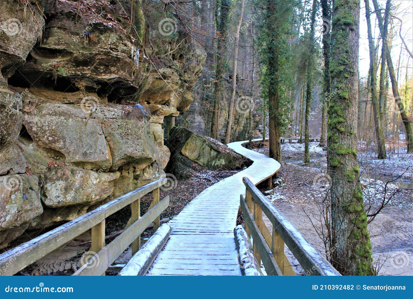 A Wooden Passage in the Forest in Mullerthal Stock Photo - Image of ...