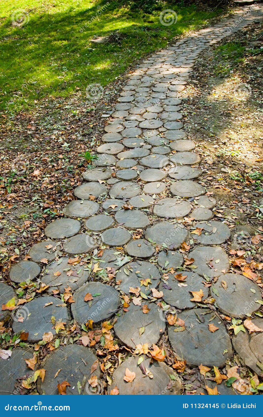 Wooden path stock image. Image of retirement, yellow - 11324145
