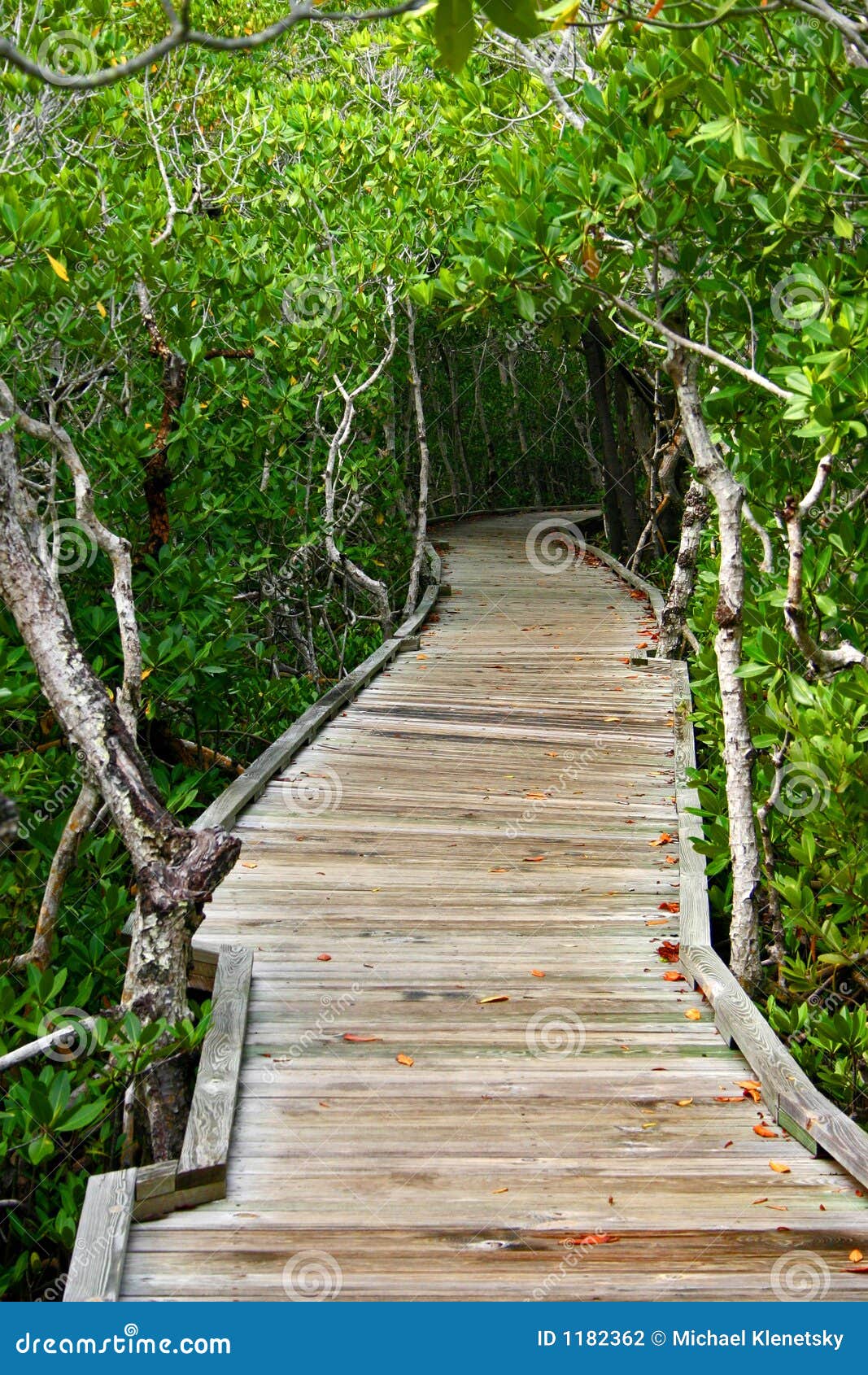Wooden Path With Stairs Or Boardwalk Leading Through Dunes To The Top ...