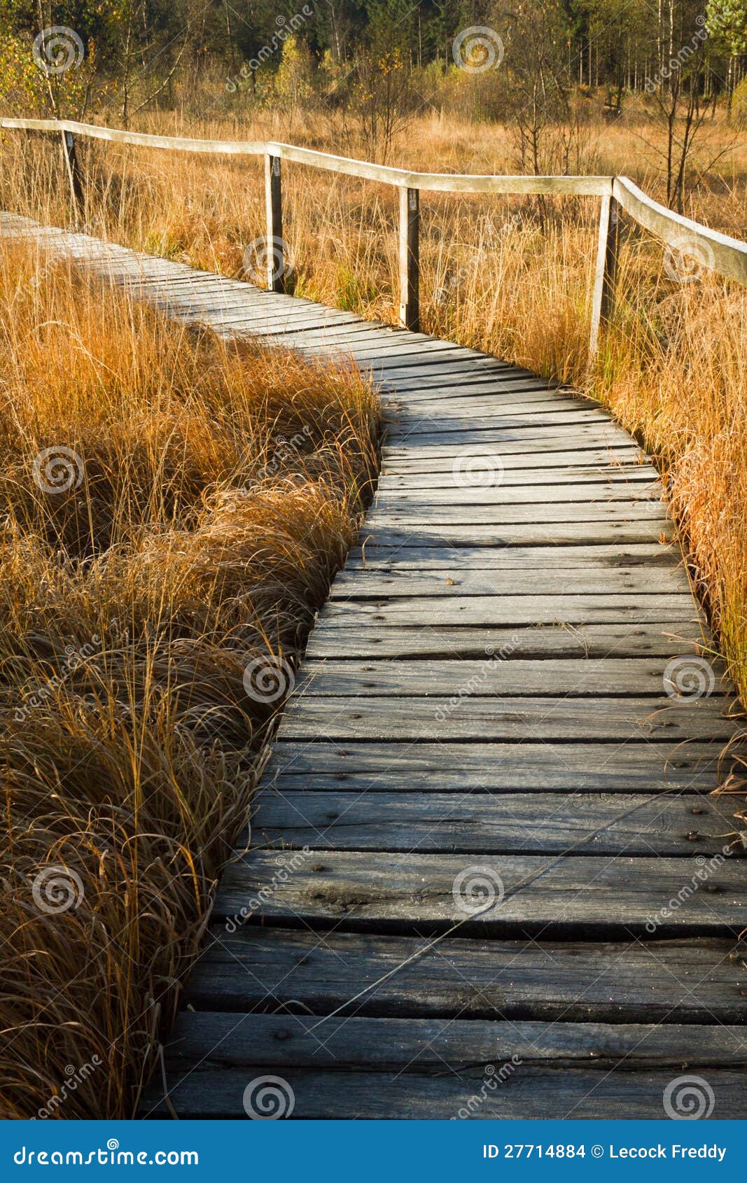 Wooden path stock photo. Image of golden, road, beautiful - 27714884
