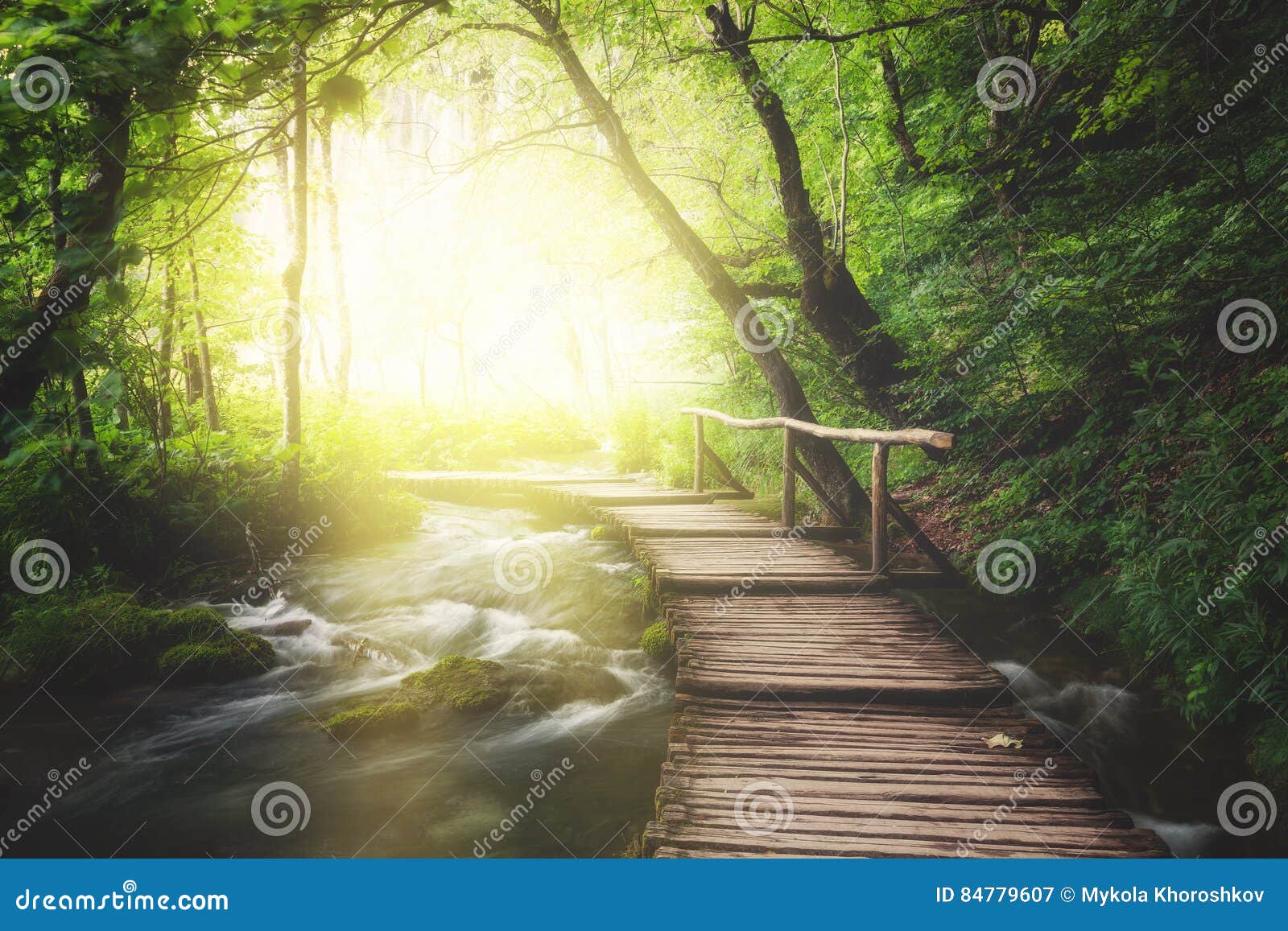 Wooden Path Across River in Green Forest Stock Image - Image of path ...