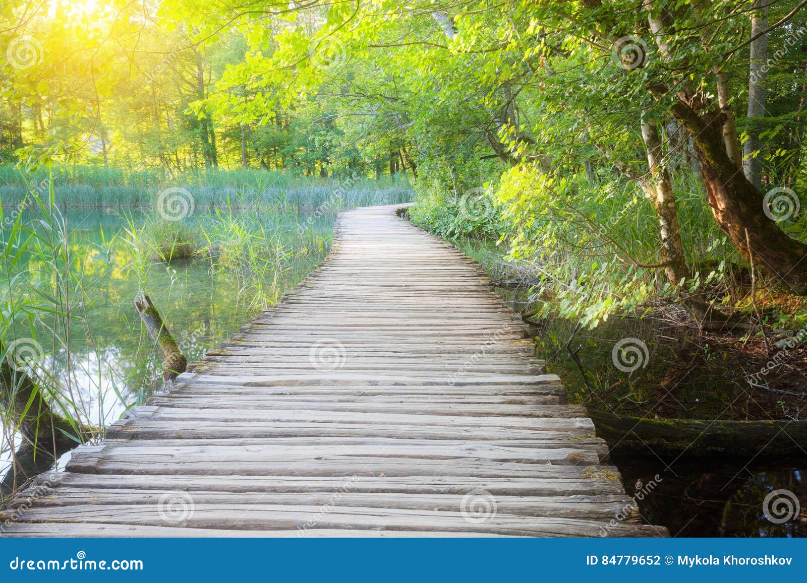 Wooden path across river stock photo. Image of season - 84779652
