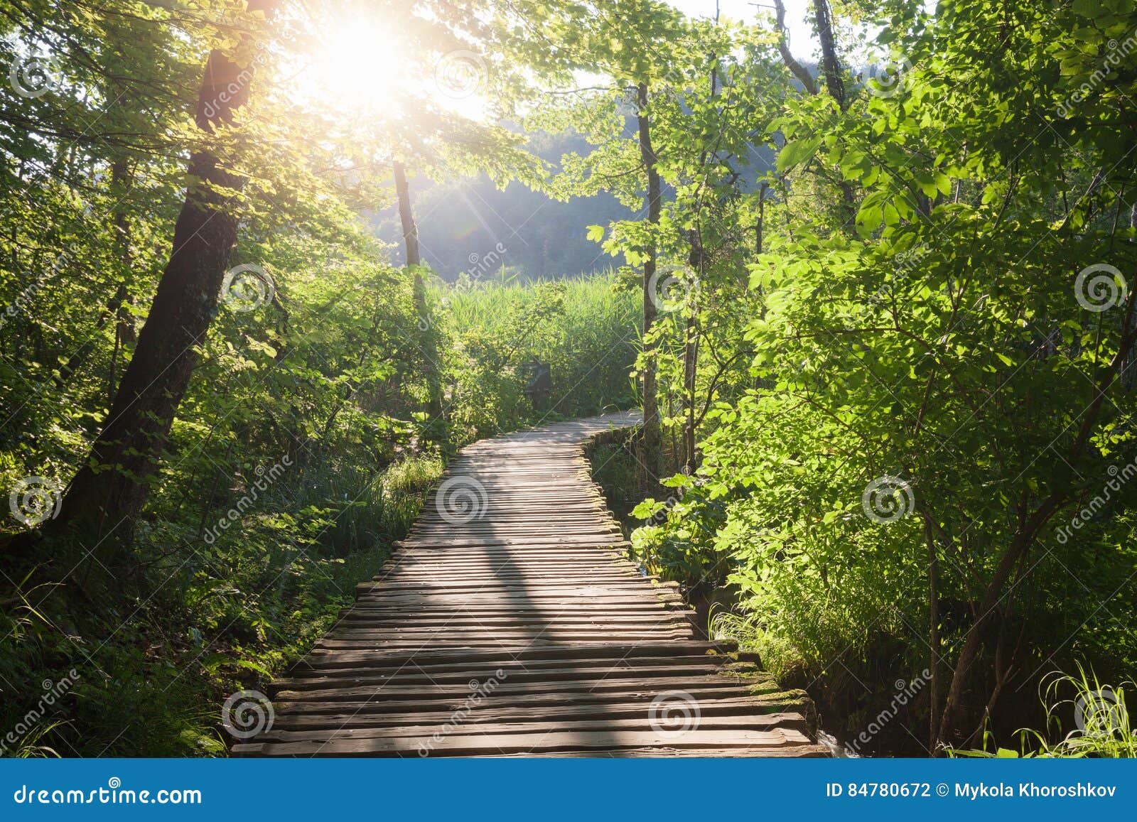 Path Across The River Stock Image | CartoonDealer.com #266106547