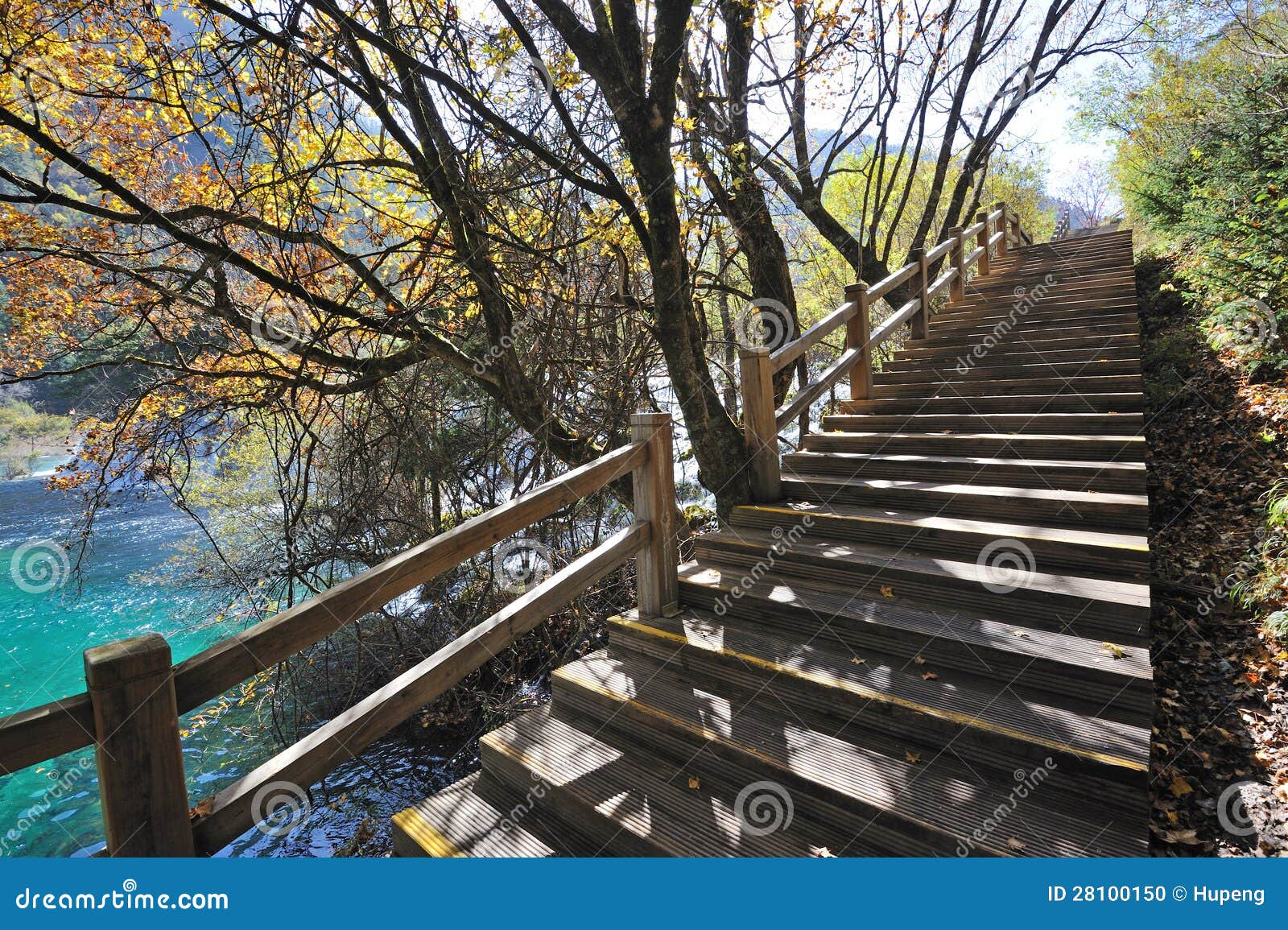 Wooden Path On Cumbuco Beach With Man, Palm Tree And Ocean In The ...