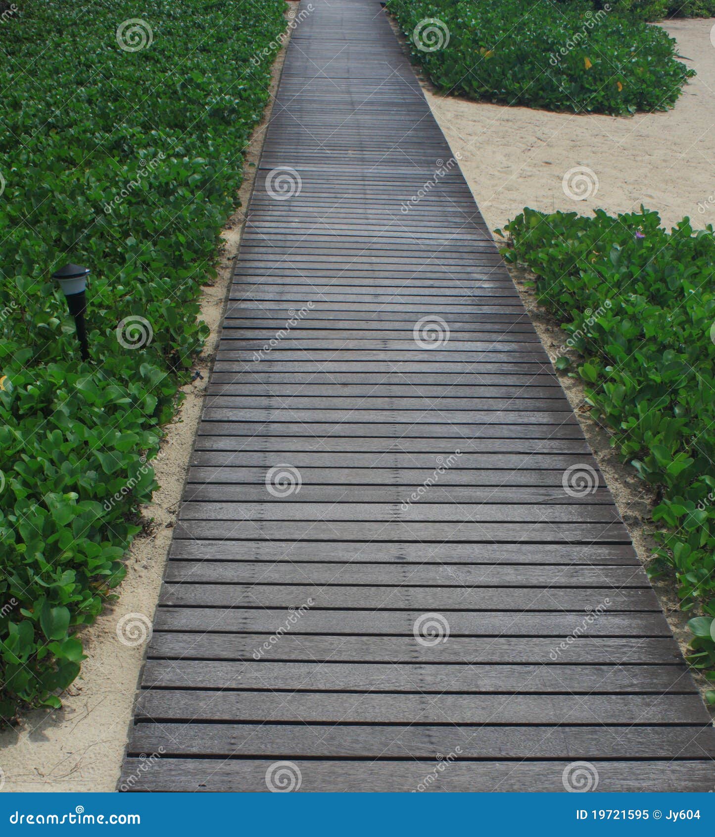 Wooden path in beach stock image. Image of clean, background - 19721595