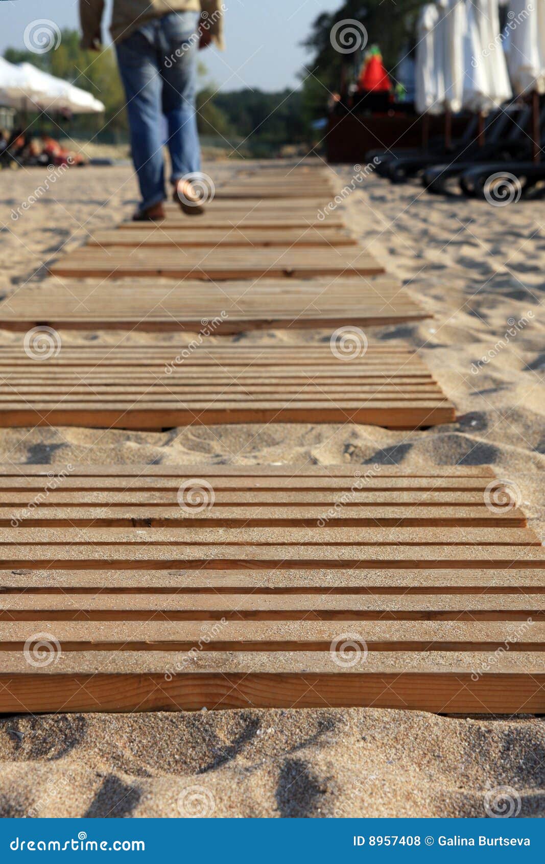 Wooden path on the beach. stock photo. Image of walk, feet - 8957408