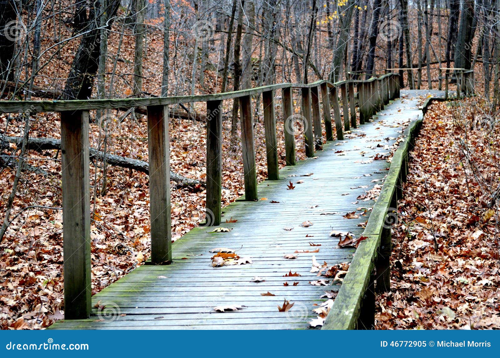 Wooden path bridge stock image. Image of wooden, road - 46772905