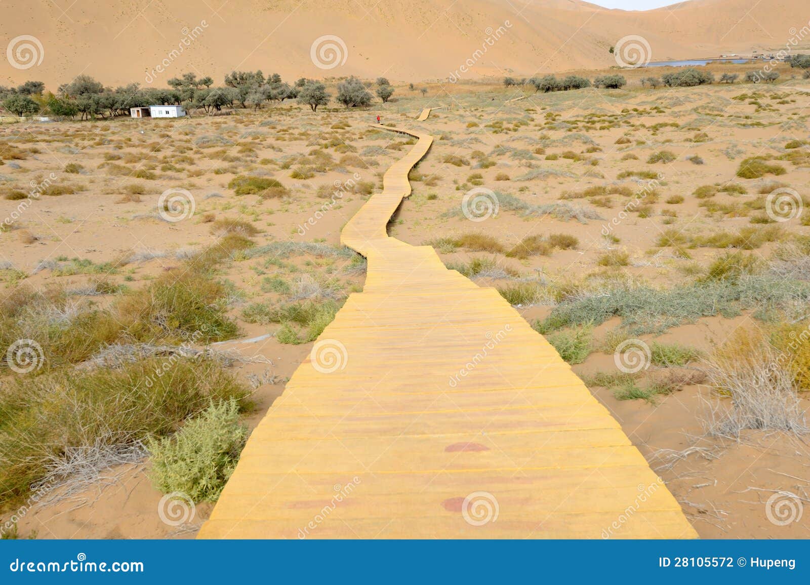 Wooden path in desert stock photo. Image of gobi, lane - 28105572