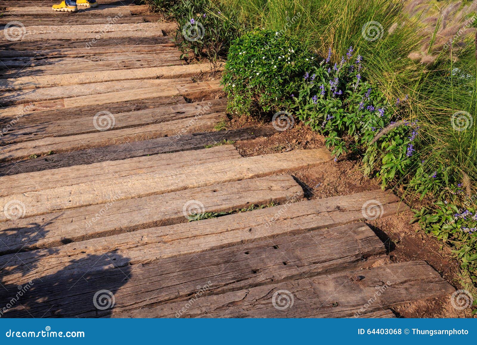 Wooden Path with Grass and Flowers Stock Photo - Image of scenic ...