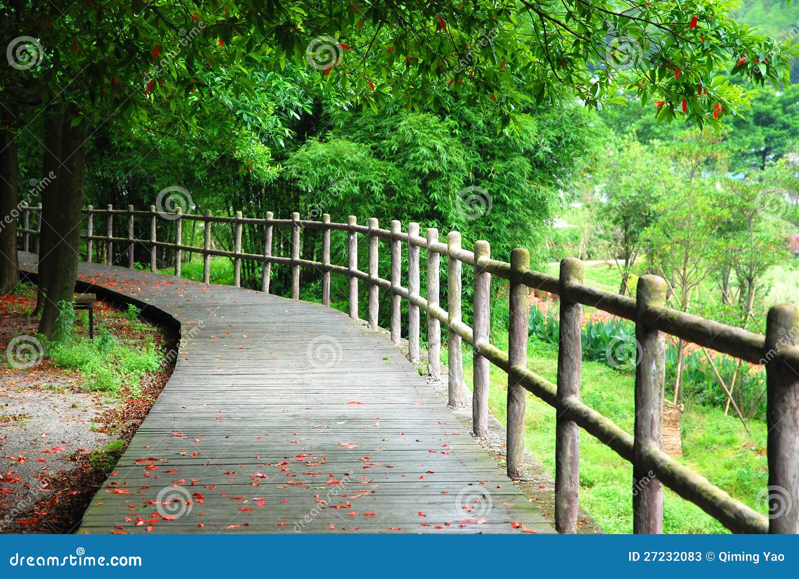 Wooden path and handrail stock image. Image of natural - 27232083
