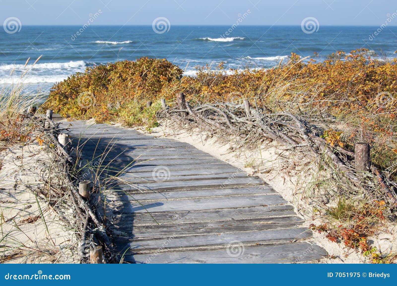 Wooden Path Leading To the Beach Stock Image - Image of shore, holiday ...