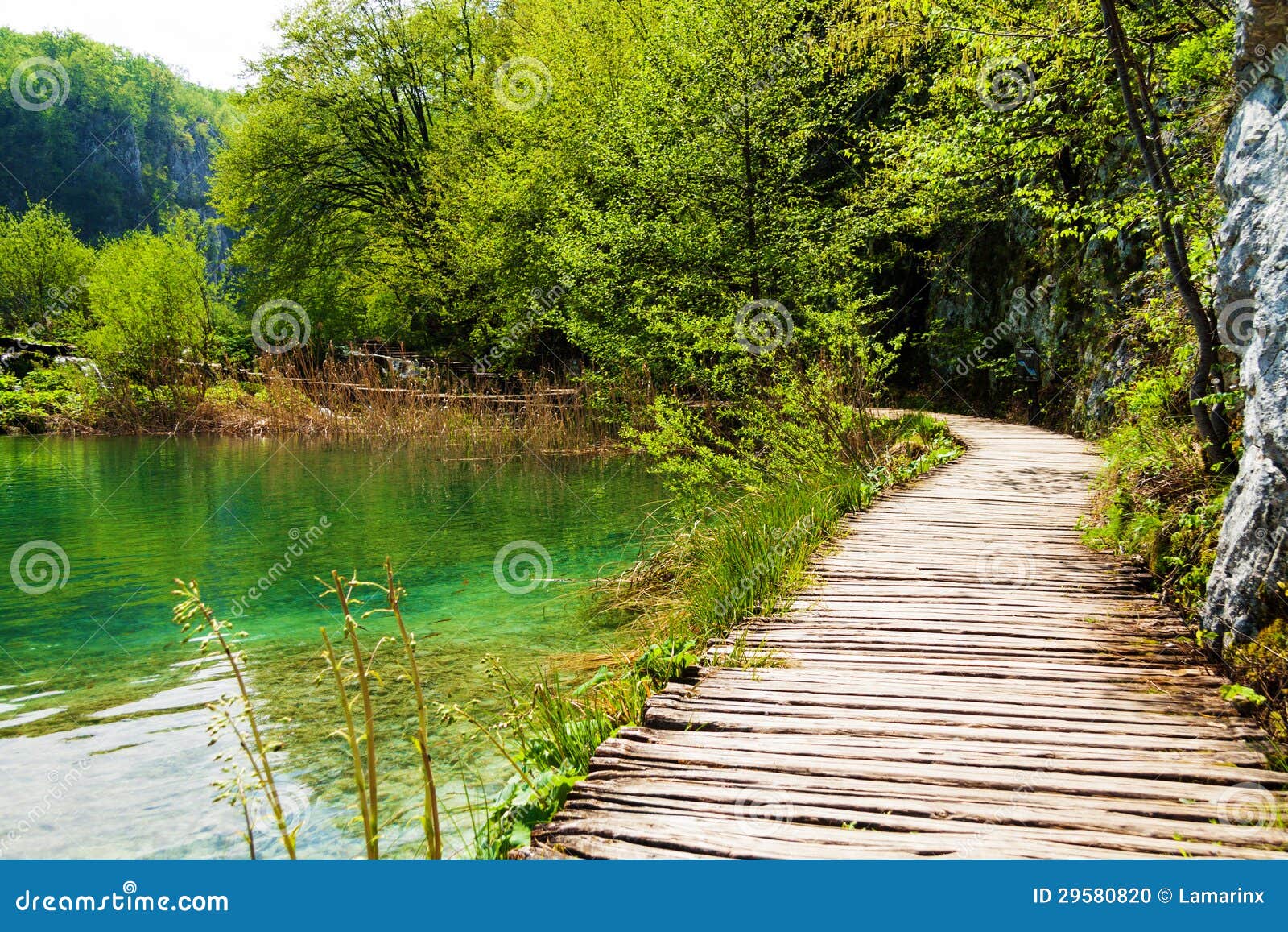 Wooden Path Near a Forest Lake in Plitvice Lakes National Park, Stock ... Wooden Path Near a Forest Lake in Plitvice Lakes National Park, Stock ...