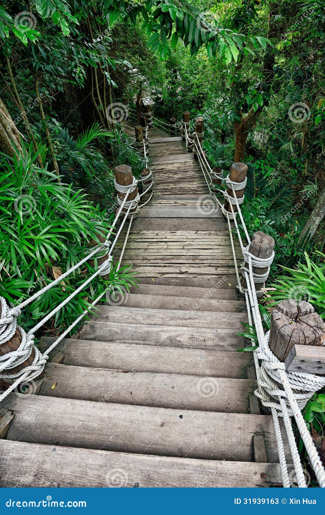 Wooden Path stock image. Image of path, calmness, natural - 31939163