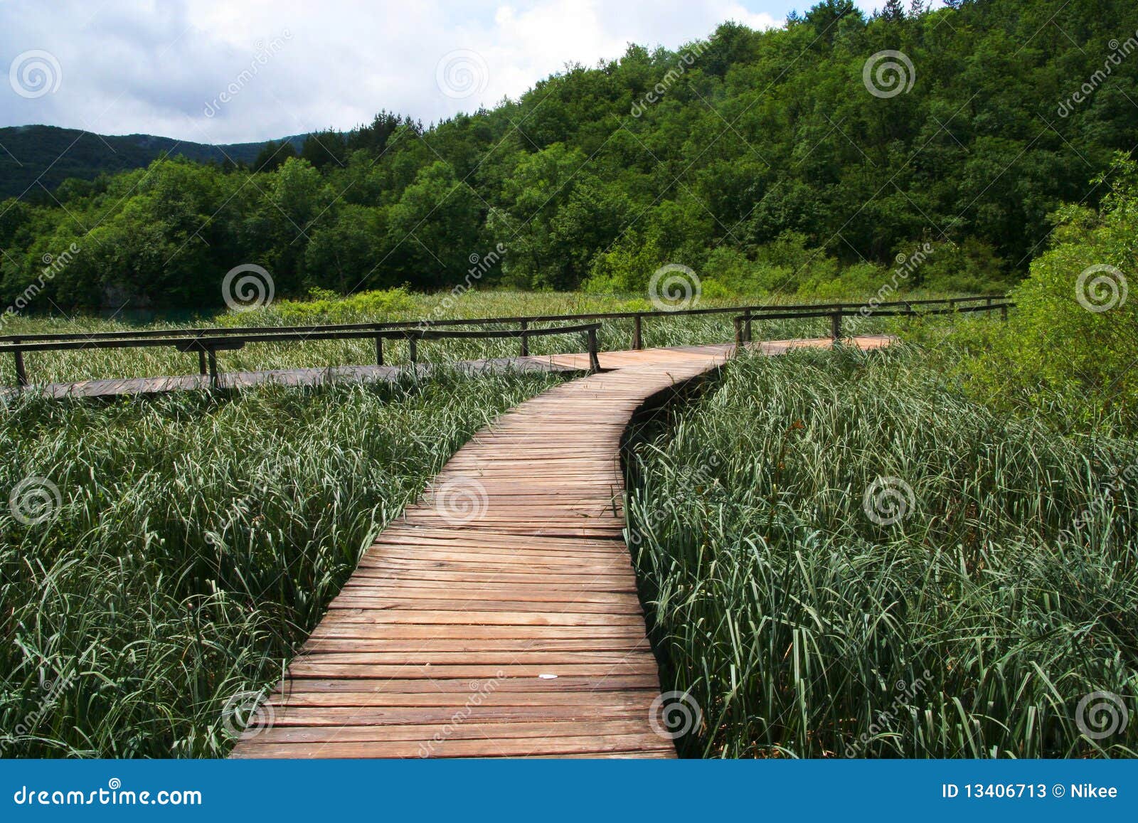 Wooden Path through the Reeds Stock Image - Image of plitvice, marginal ...