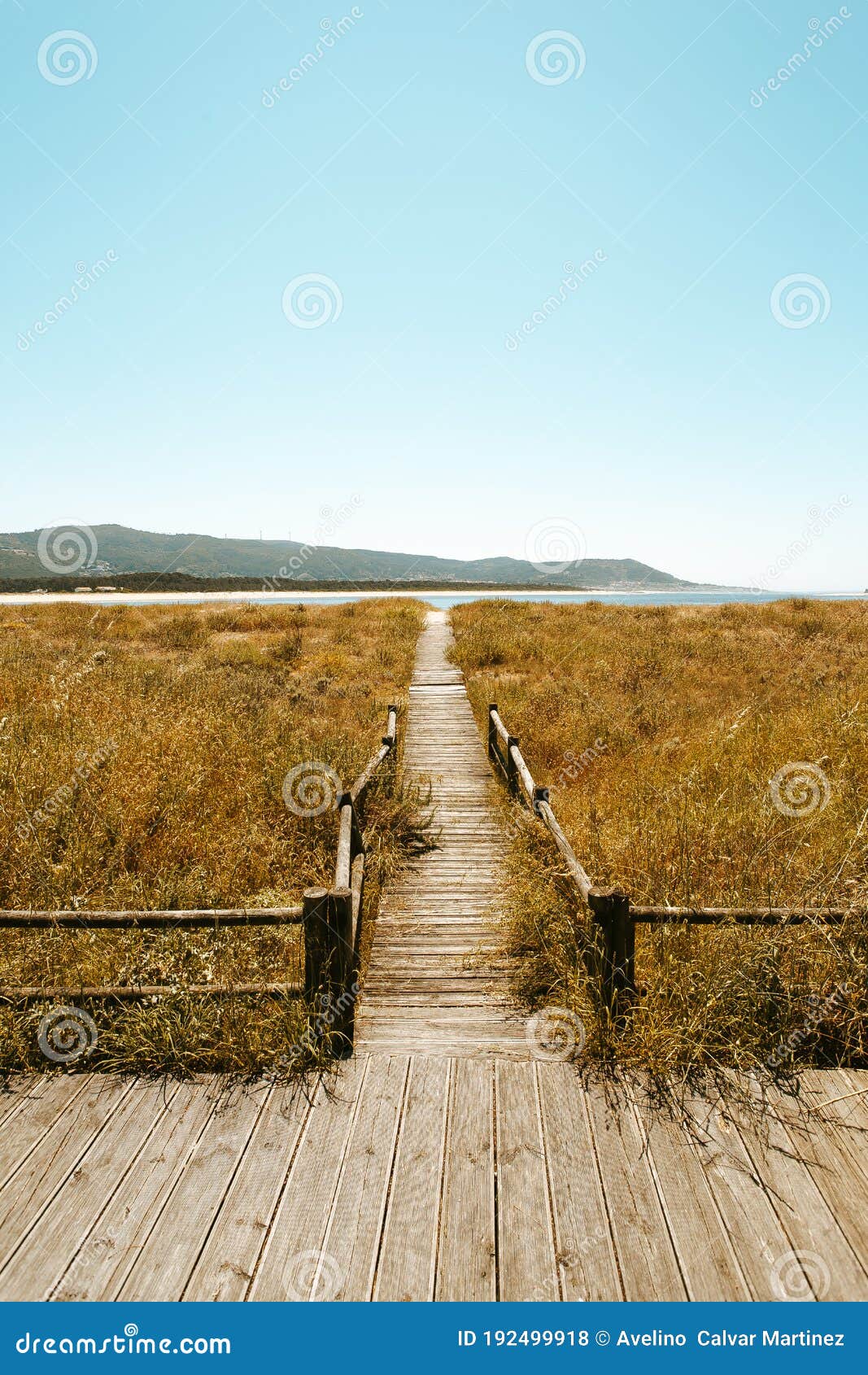A wooden path to the beach stock photo. Image of wood - 192499918