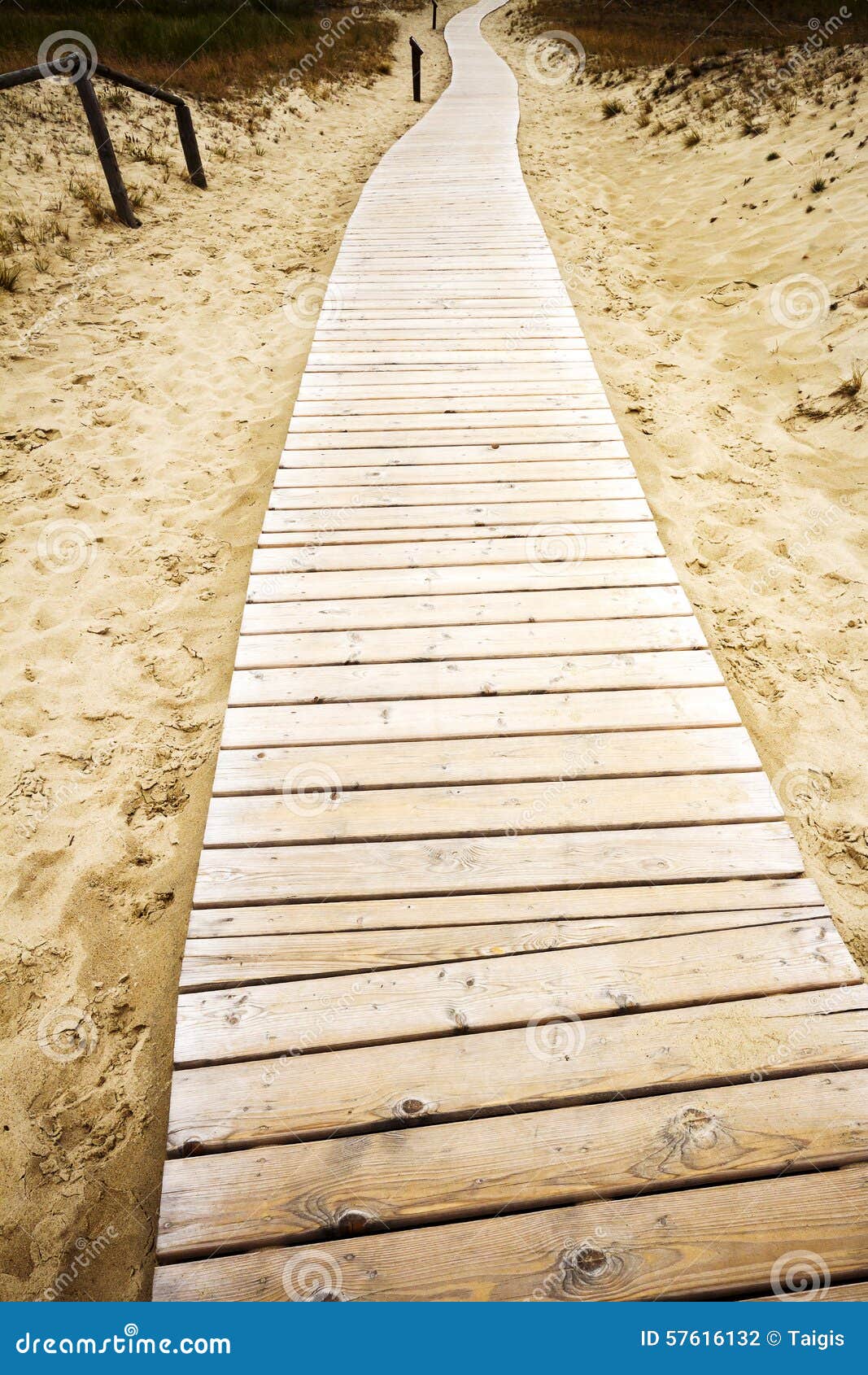 Wooden path stock photo. Image of leaf, environment, brown - 57616132