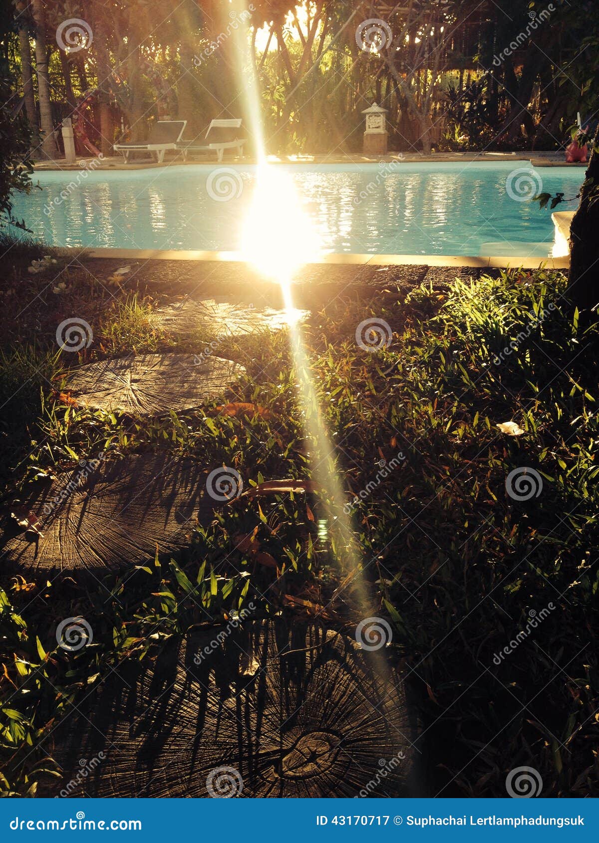 Wooden Path To Swimming Pool Royalty-Free Stock Photo | CartoonDealer ...