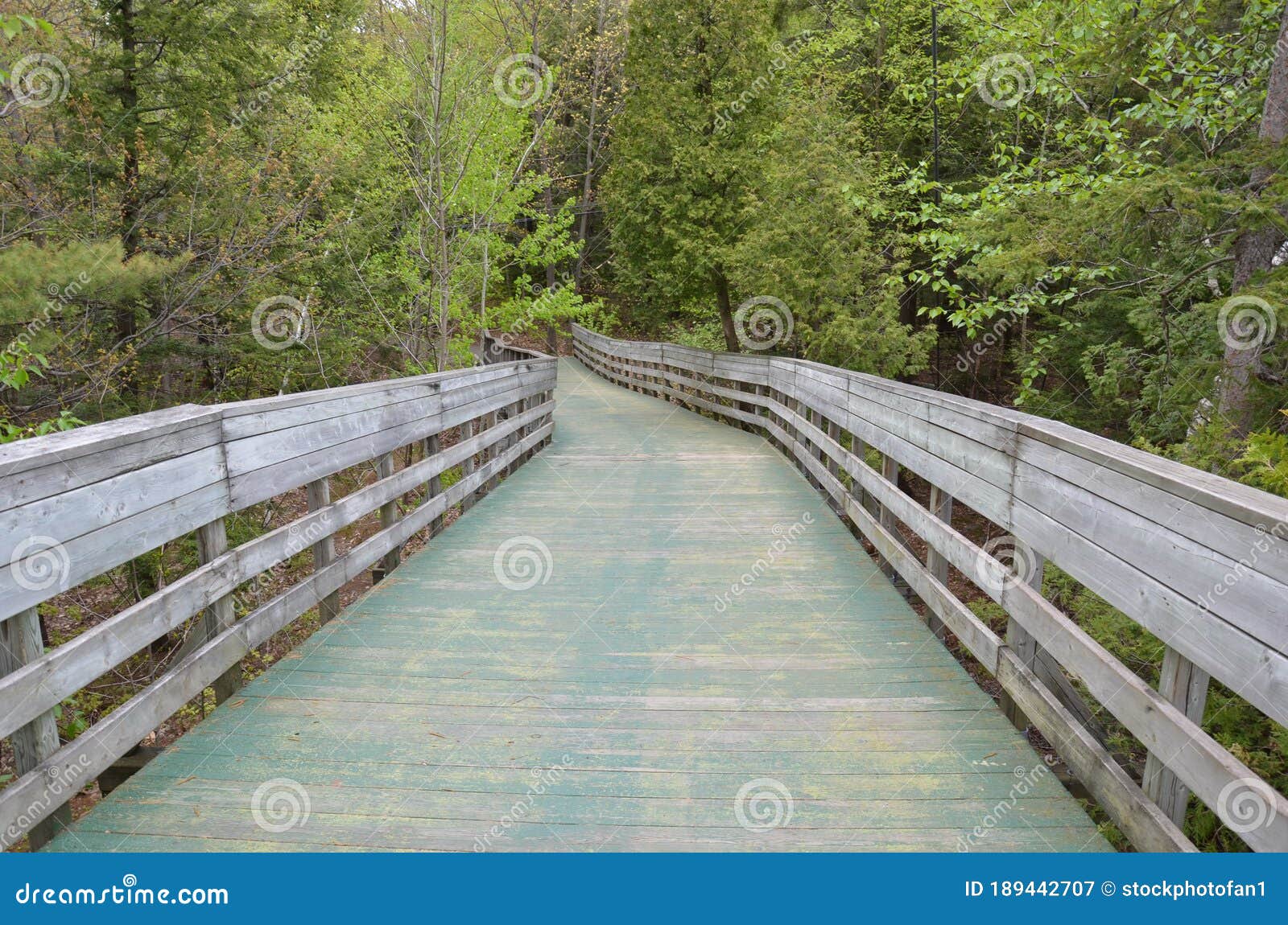 Wooden Path or Trail with Railing and Trees Stock Image - Image of ...