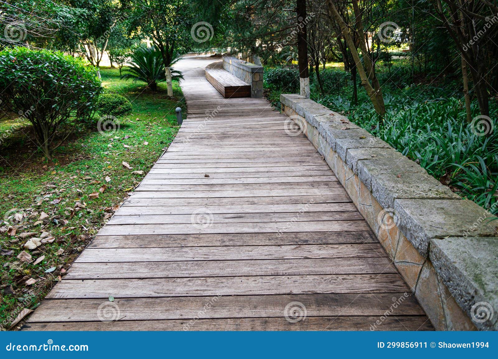 Wooden path in the park stock image. Image of plants - 299856911