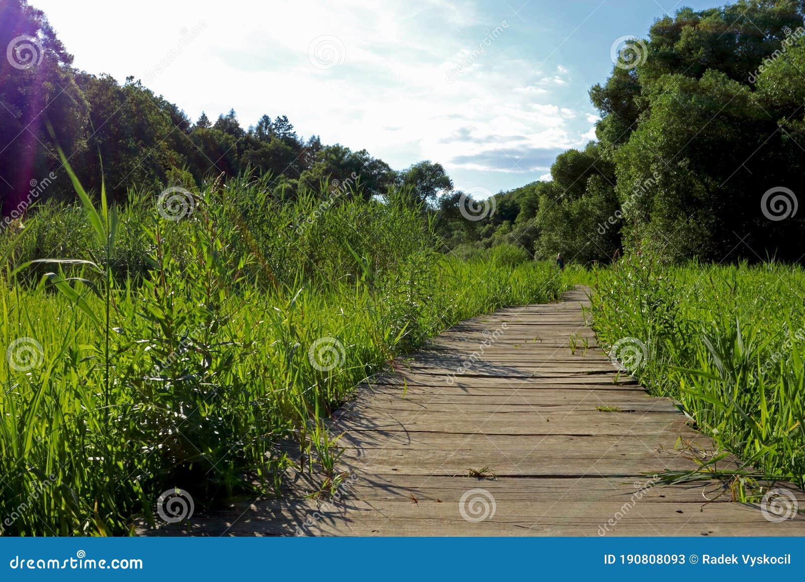Wooden Path through a Wet Meadow Stock Image - Image of planks, path ...