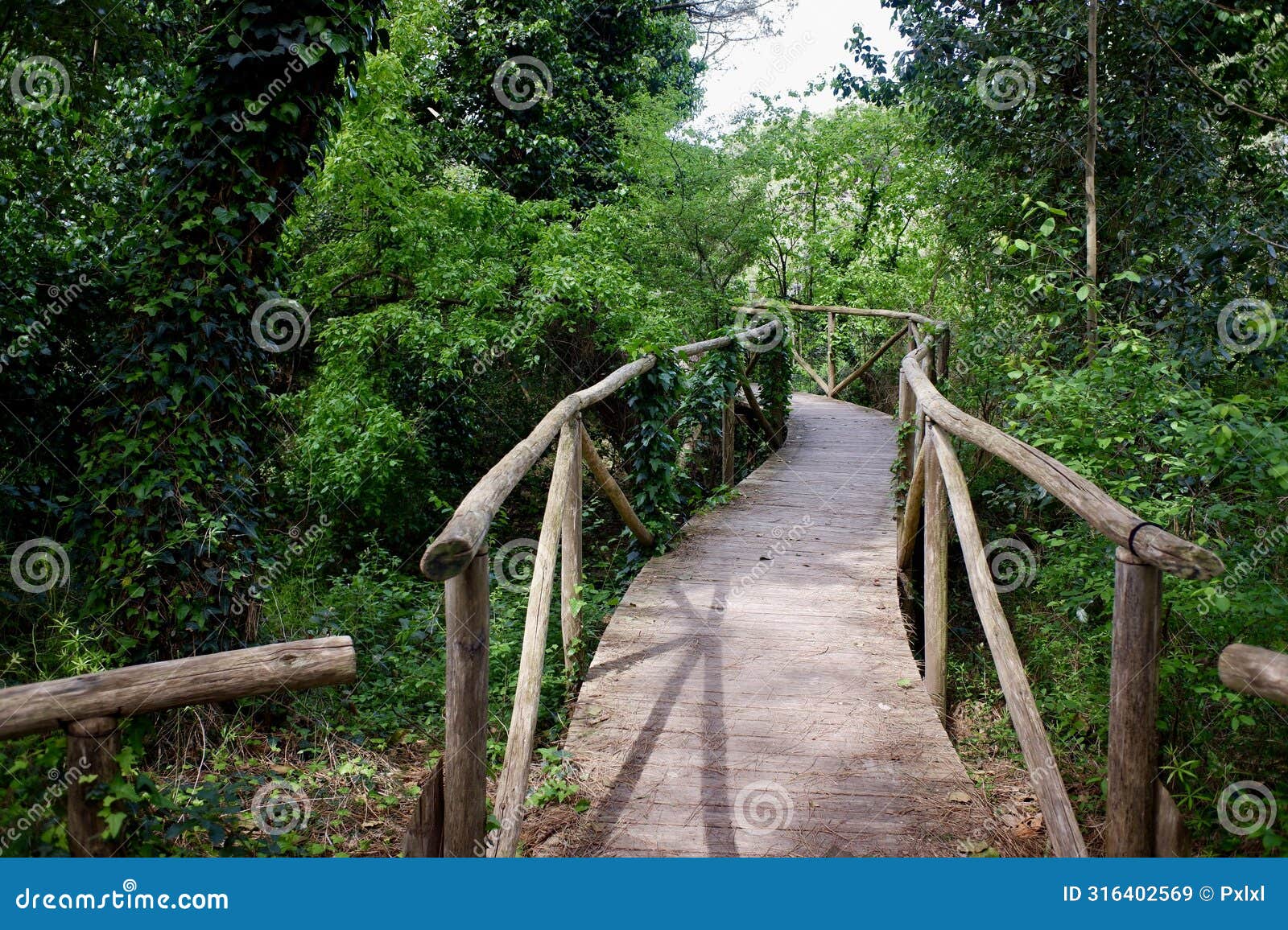 Wooden Pathway Bridge for Hikers on a Park Stock Image - Image of hike, adventure: 316402569