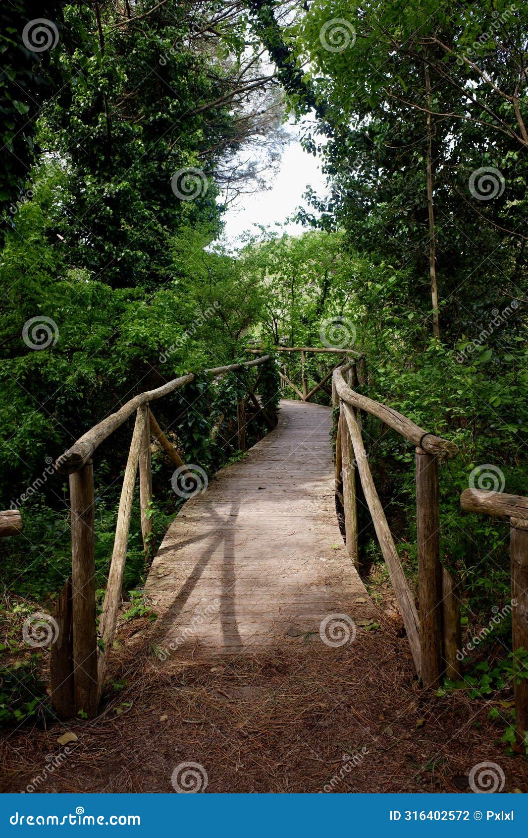 Wooden Pathway Bridge for Hikers on a Park Stock Photo - Image of green ...