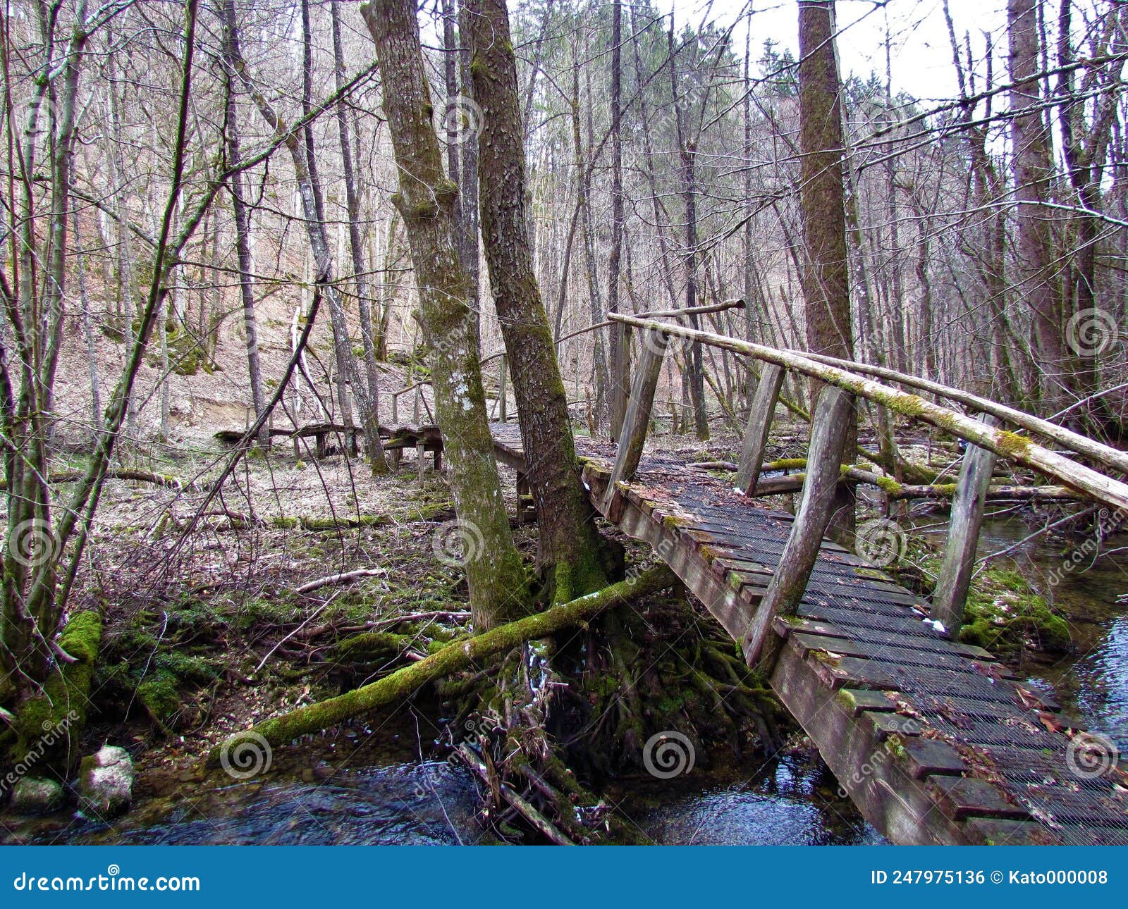 Wooden Pathway Crossing a Swamp Stock Photo - Image of tourism ...