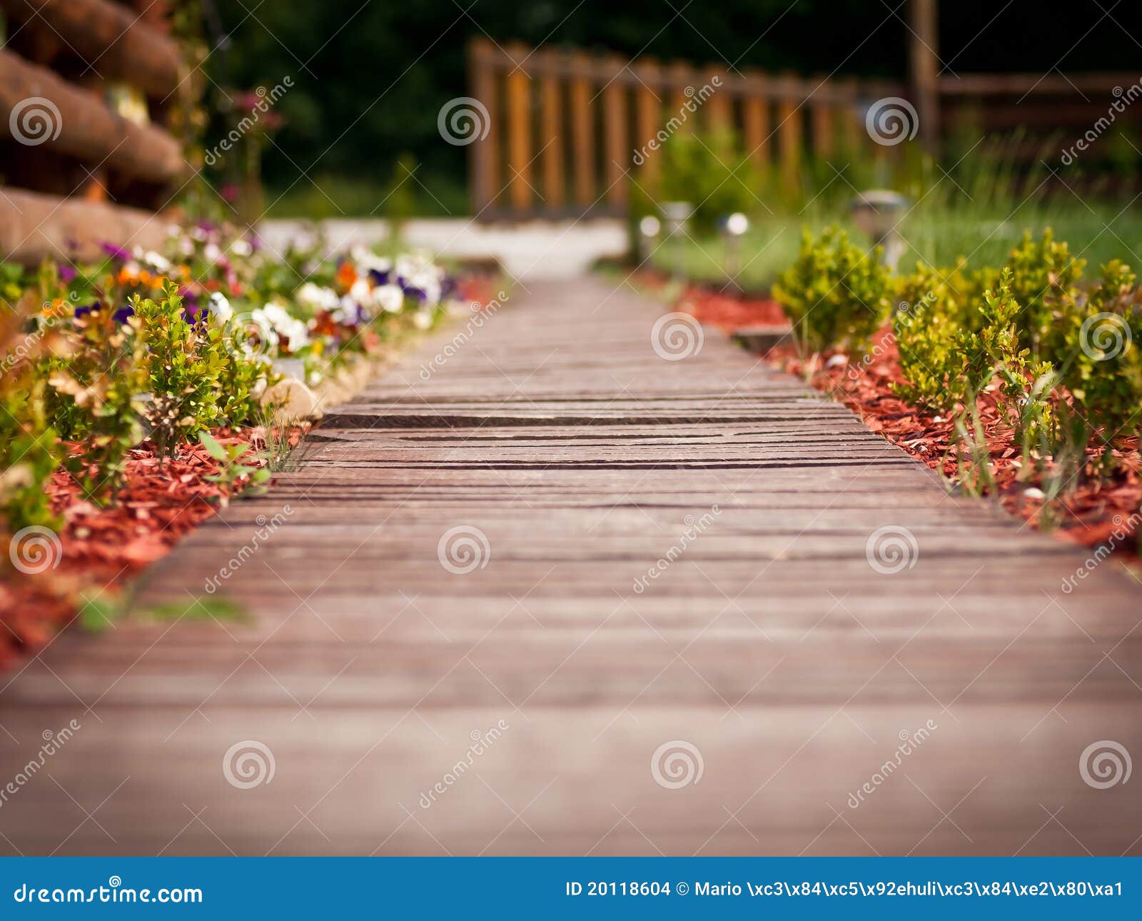 Wooden Pathway through Garden Stock Photo - Image of wooden, blossom ...
