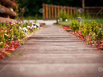 Wooden Pathway through Garden Stock Photo - Image of wooden, blossom ...