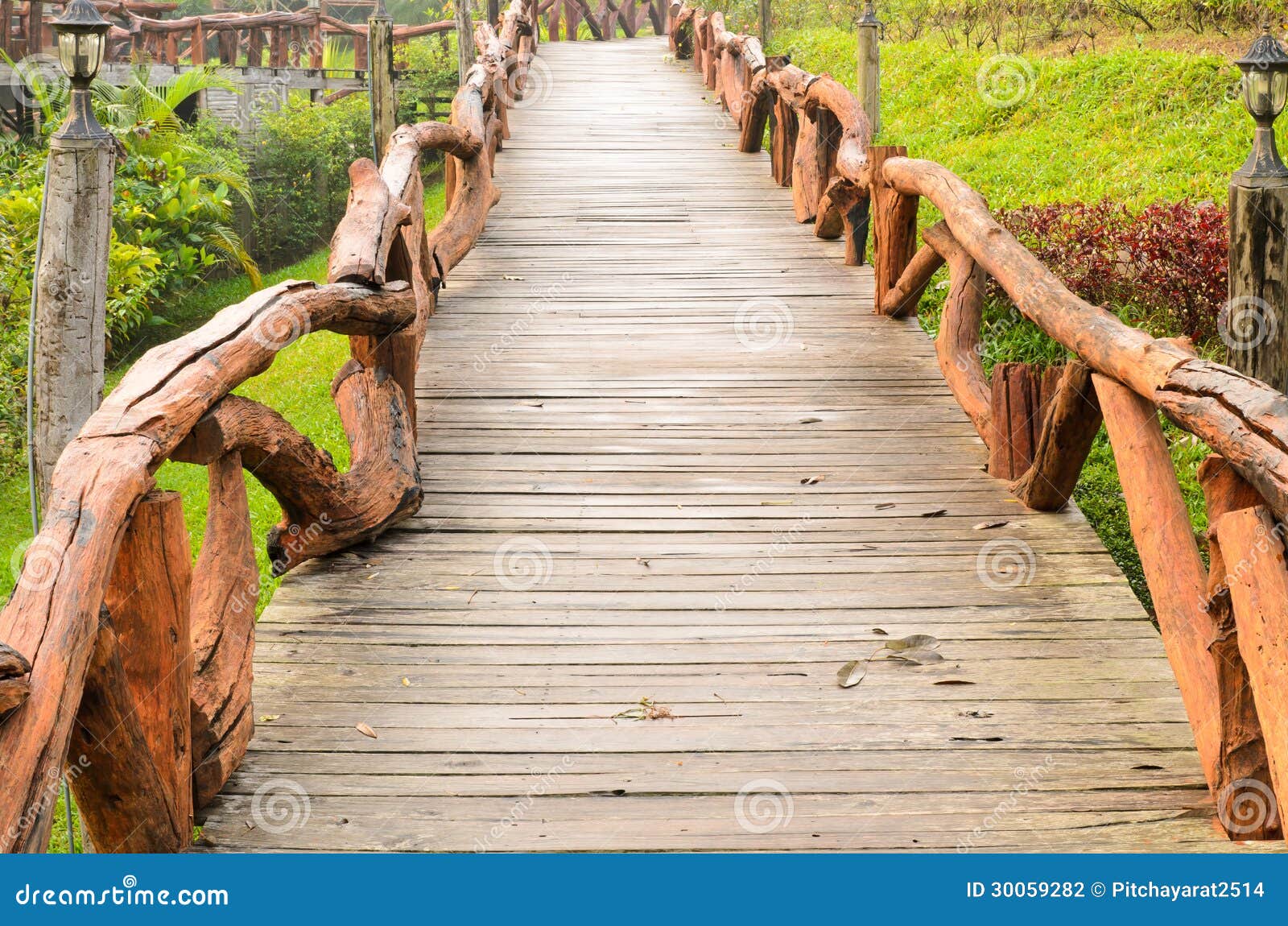 Wooden pathway stock photo. Image of forest, bridge, environment - 30059282