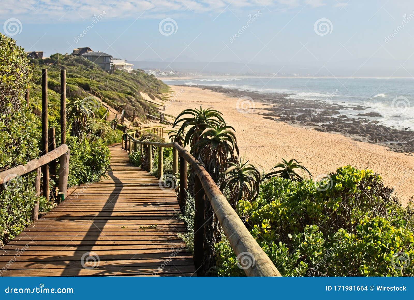 Wooden Pathway Going To the Beach Covered with Trees by the ...